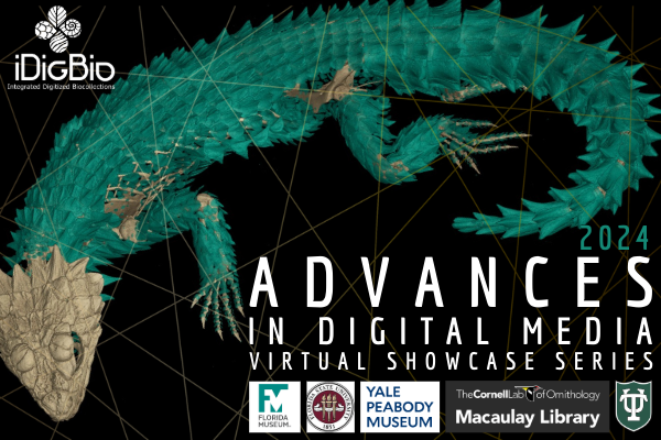 iDigBio Home | iDigBio