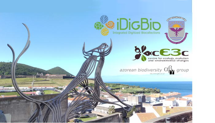 Research | iDigBio