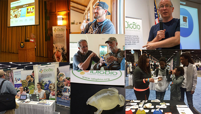 iDigBio Home | iDigBio