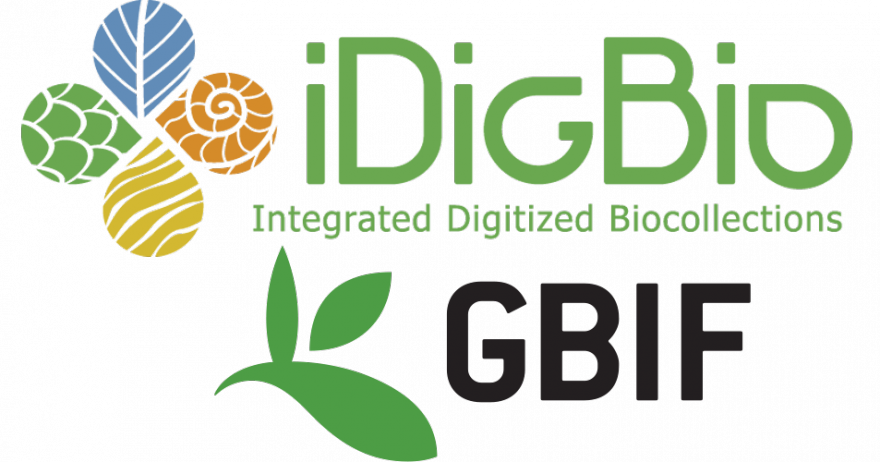 About iDigBio | iDigBio
