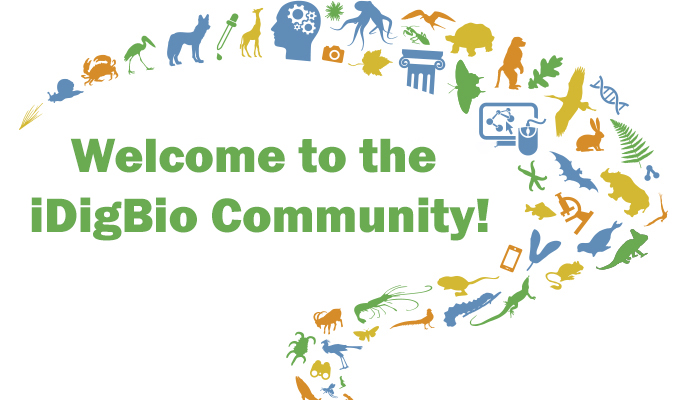 iDigBio Home | iDigBio