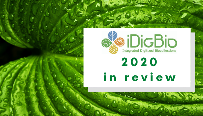 iDigBio Update 2020 | iDigBio