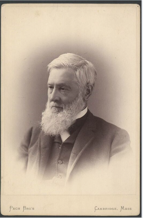 Portal Curiosities: Asa Gray and the quest for Shortia galacifolia – a ...